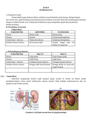 Makalah ginjal | DOCX