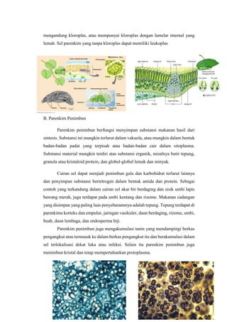 makalah Jaringan Parenkim anggi pradana.docx
