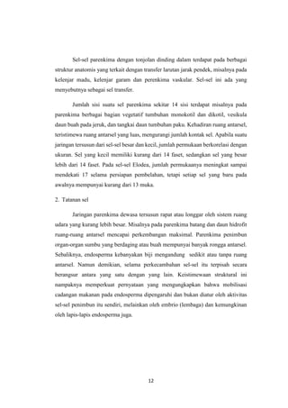 makalah Jaringan Parenkim anggi pradana.docx