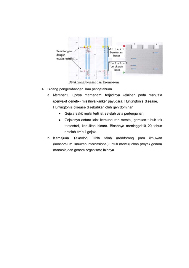 DNA Rekombinan | DOCX