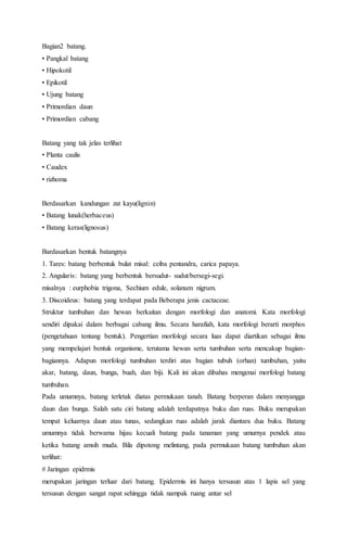 Makalah morfologi batang | DOCX