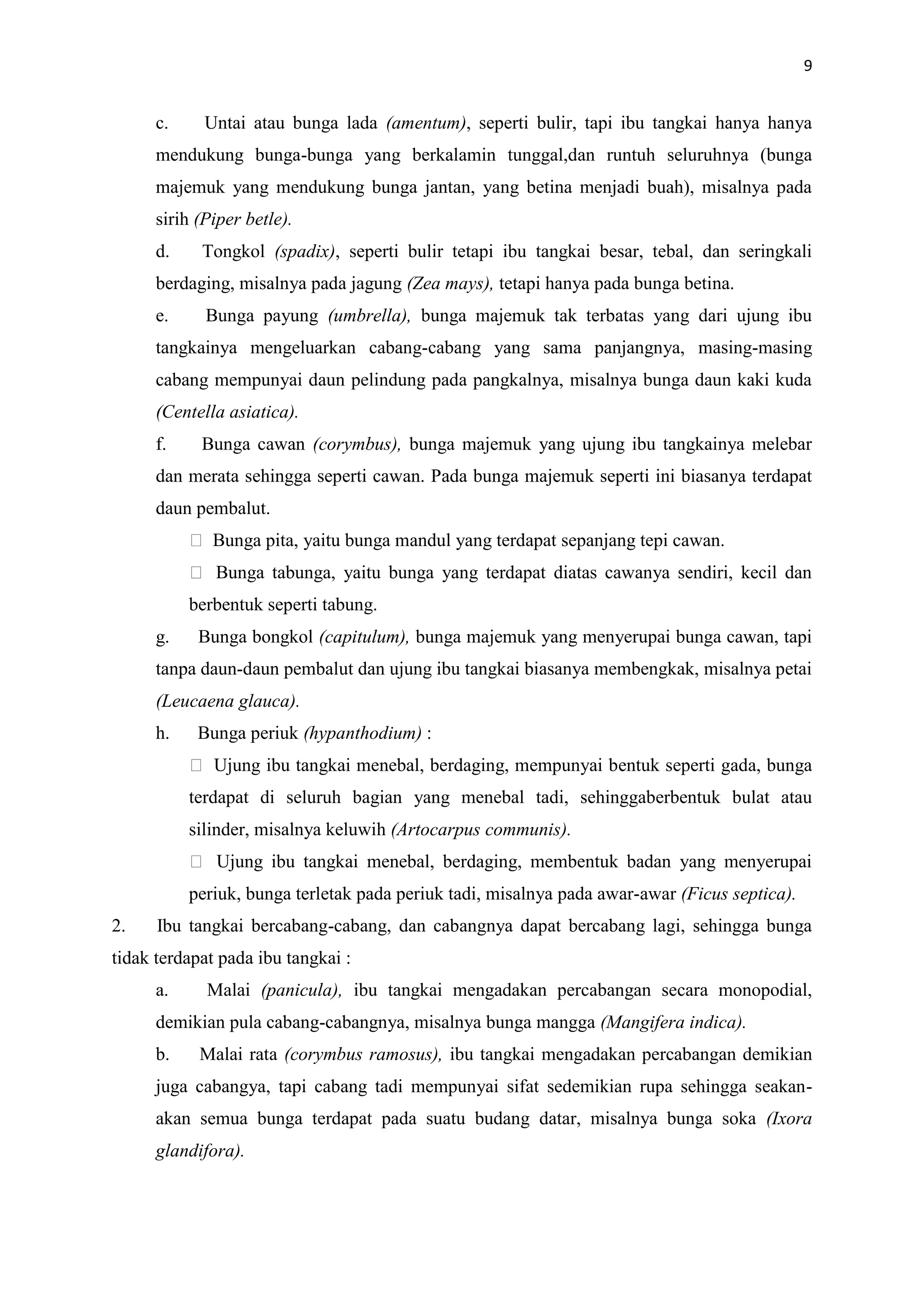 Makalah morfotum alat perkembangbiakan bunga | DOCX