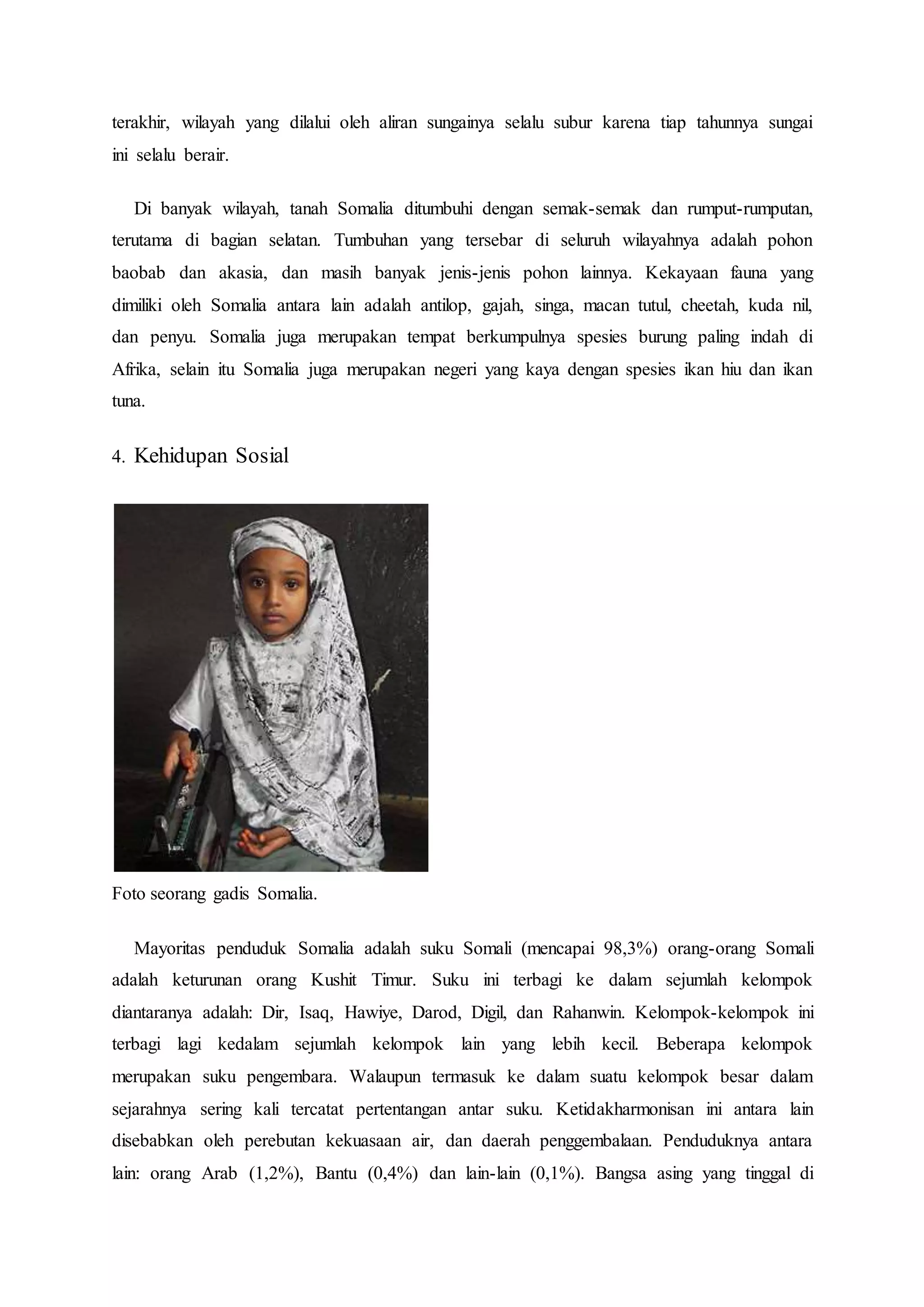 Makalah negara somalia | DOCX