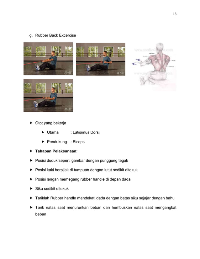 BACK EXERCISE | PDF