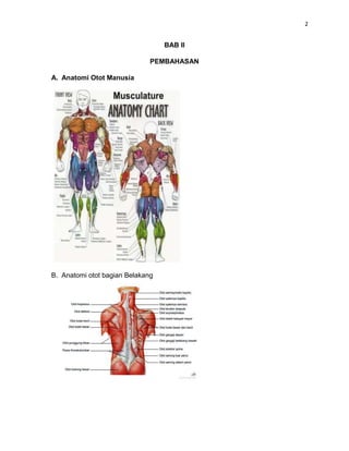 BACK EXERCISE | DOCX