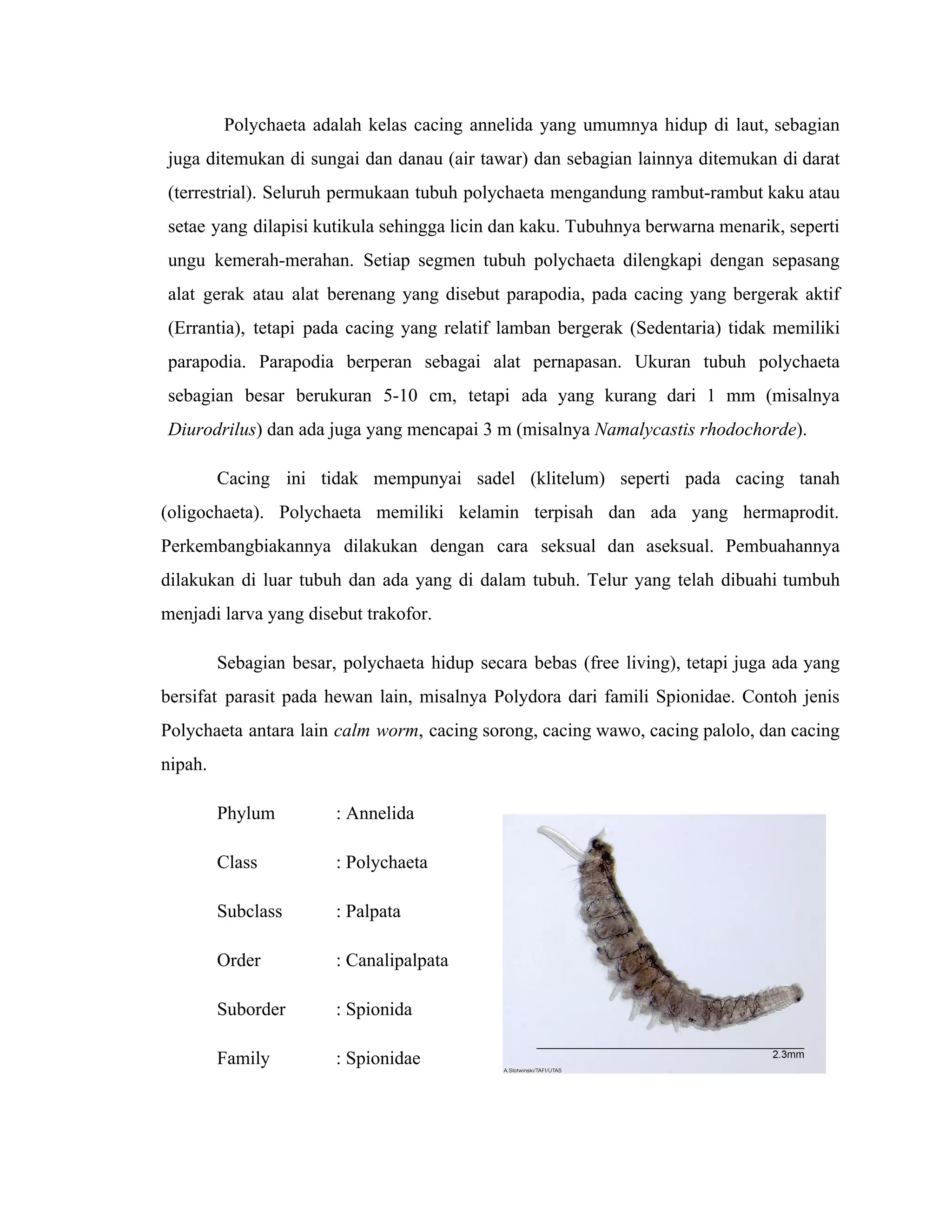 Makalah planktonologi | PDF