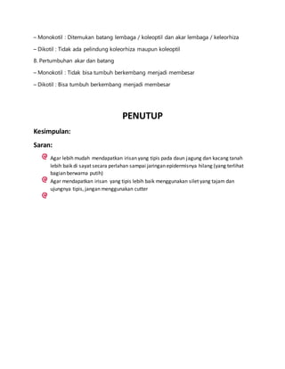 Makalah praktikum jaringan tumbuhan jagung dan kacang tanah | DOCX