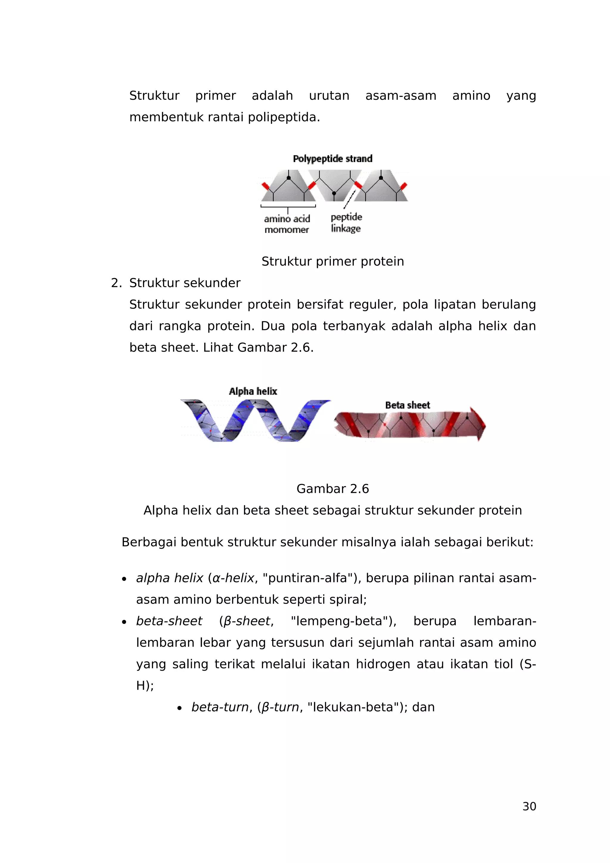 Makalah protein | PDF