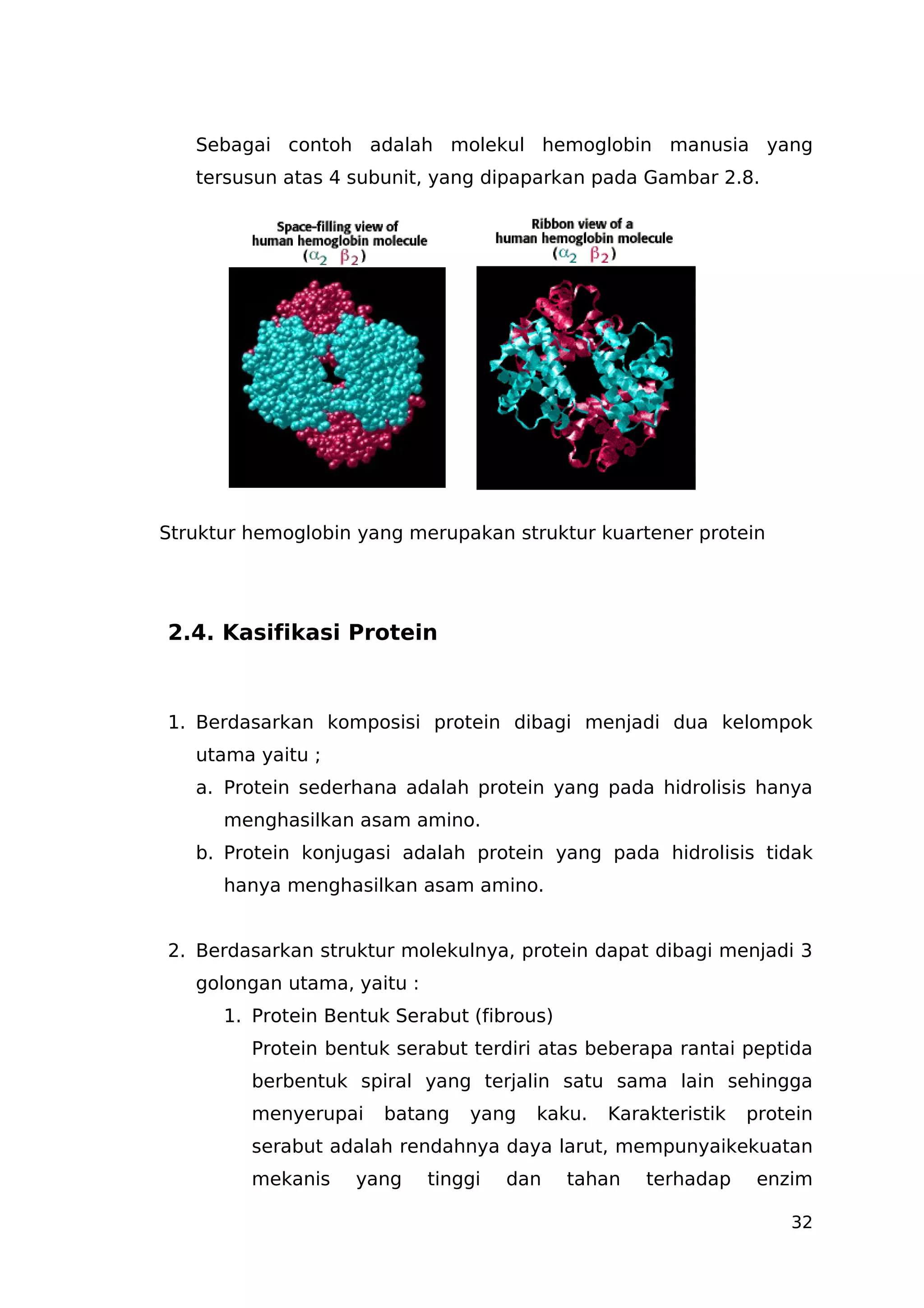 Makalah protein | PDF