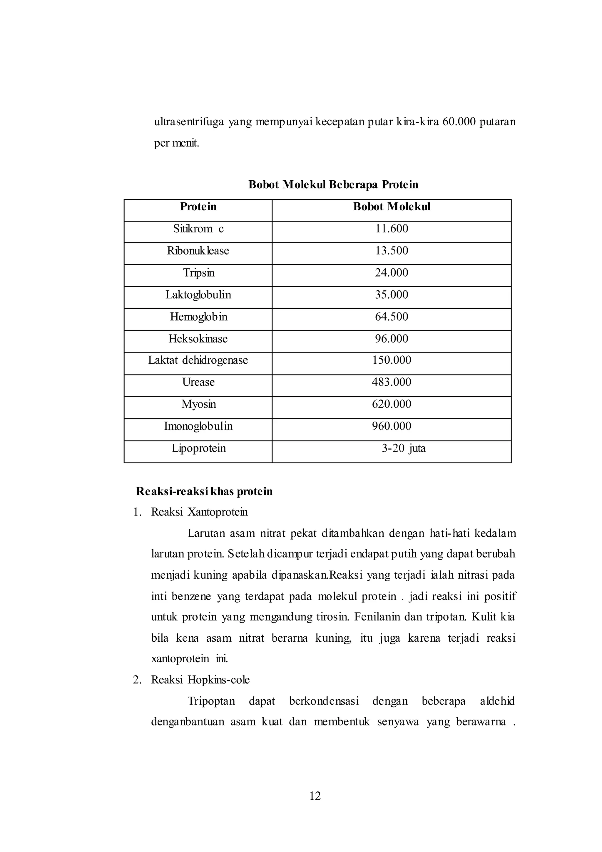Makalah protein | DOCX