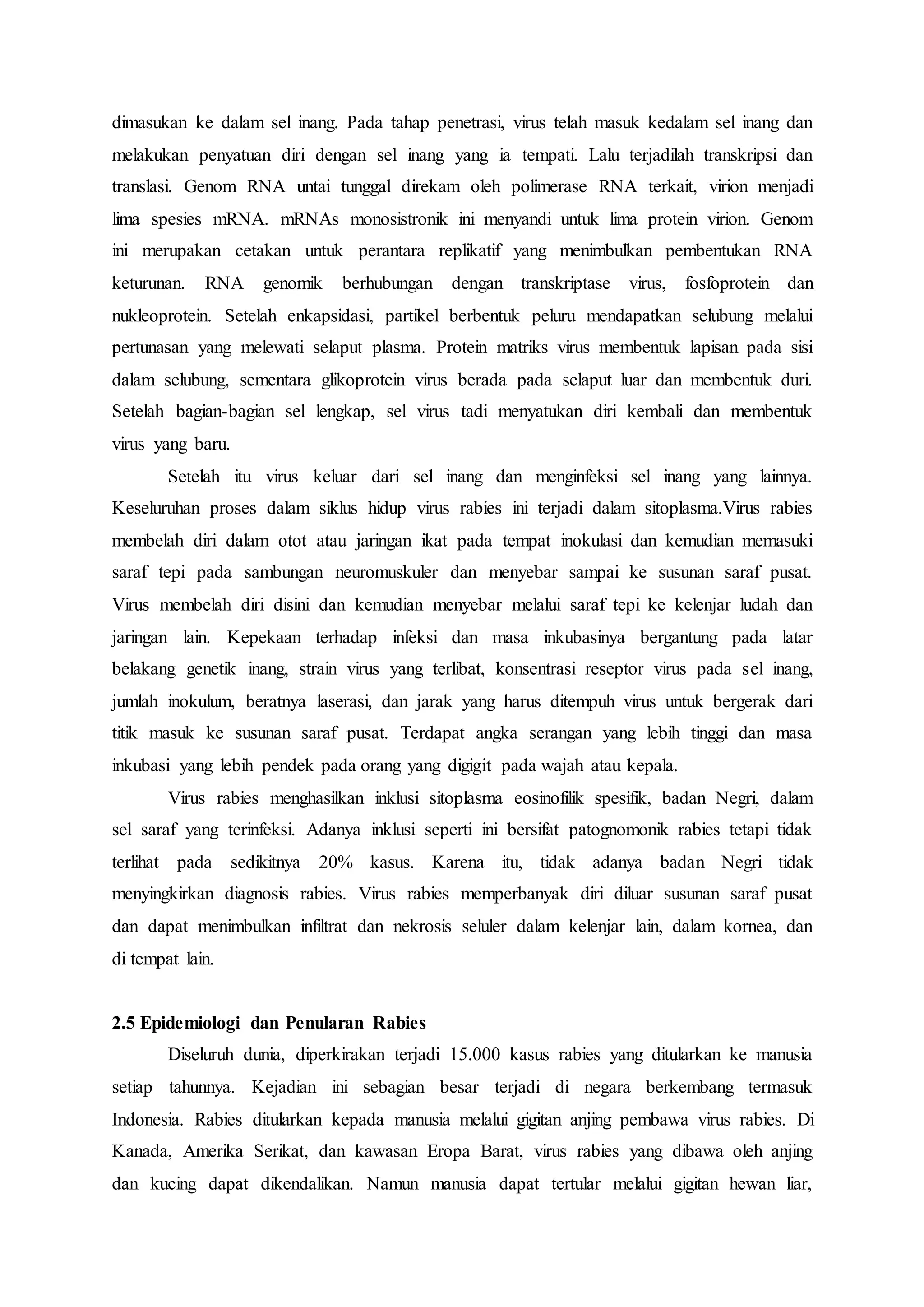 Penyakit Rabies | DOCX