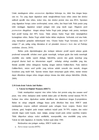 Penyakit Rabies | DOCX