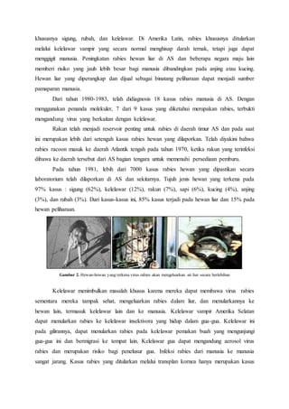 Penyakit Rabies | DOCX
