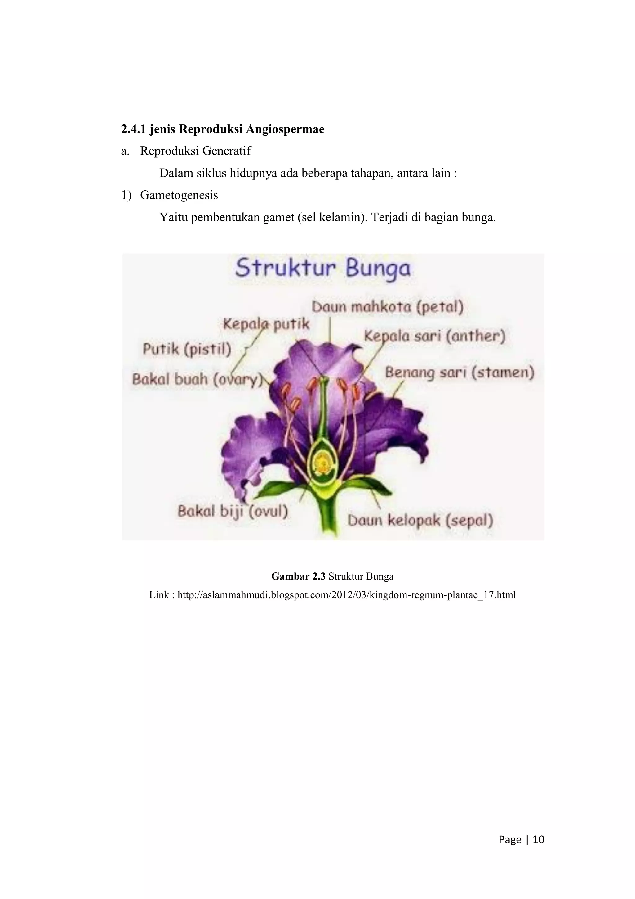 Makalah reproduksi tumbuhan Angiospermae pdf | PDF