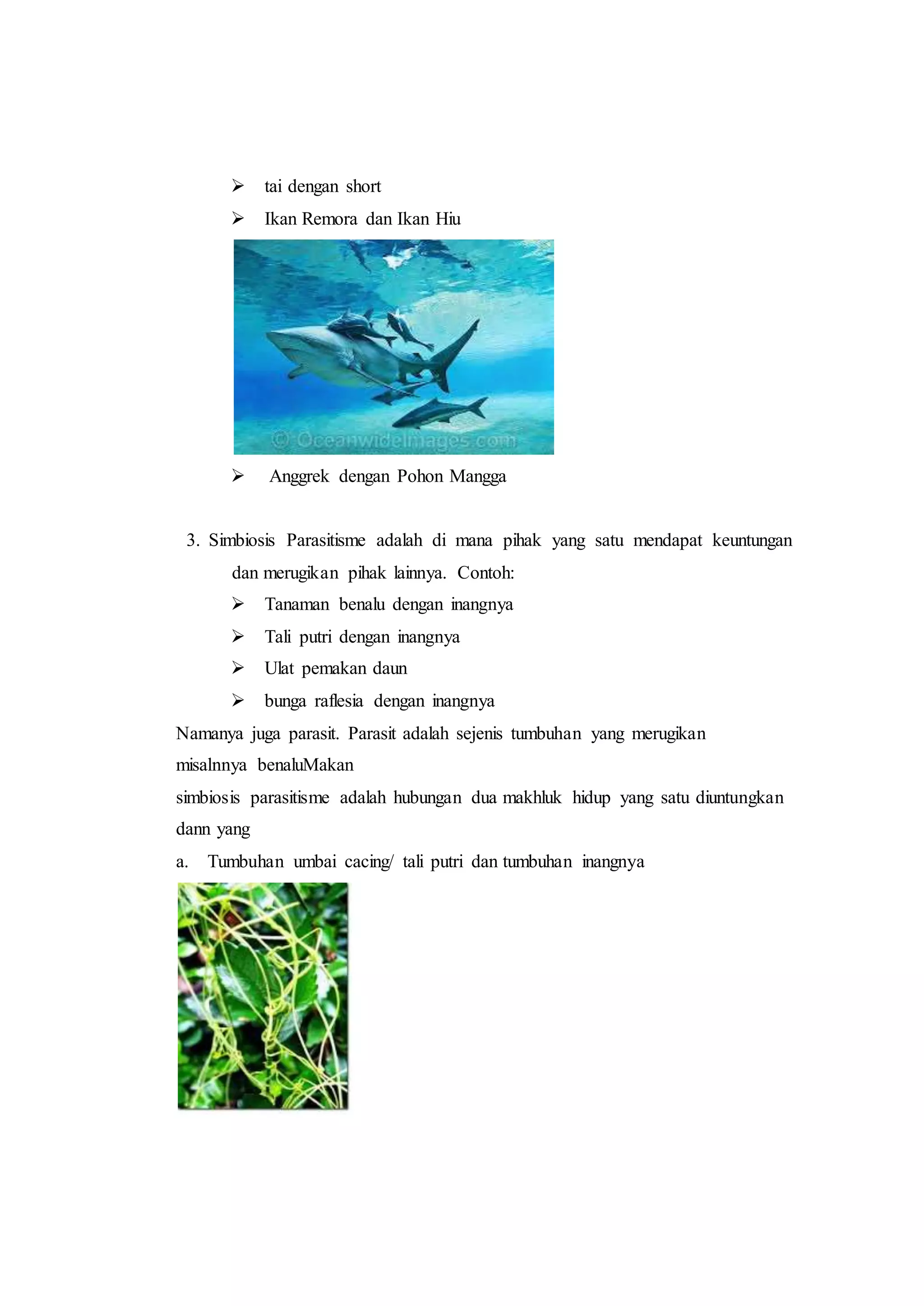 Makalah simbiosis 2 | DOCX