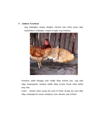 Simbiosis Netralisme