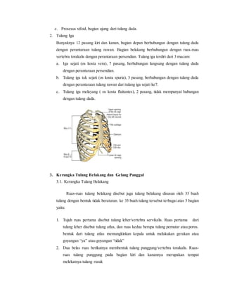 Makalah sistem muskuloskeletal | DOCX