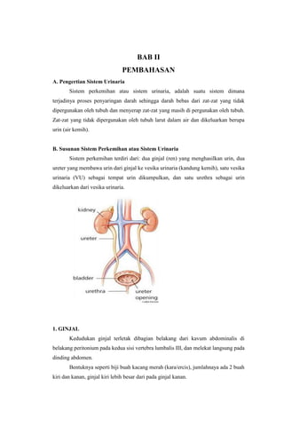 Makalah sistem urinaria AKPER PEMKAB MUNA | DOCX