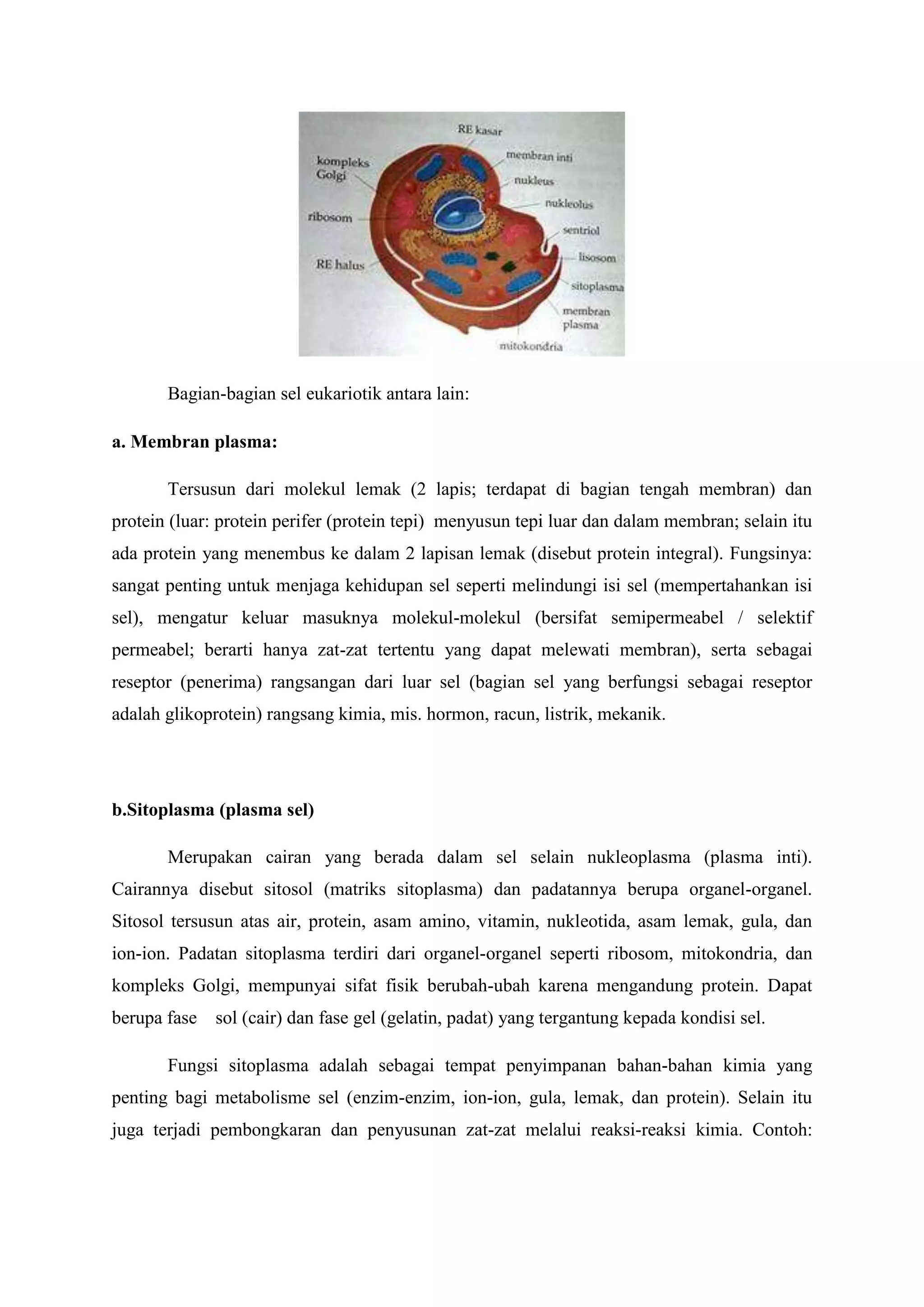 Makalah_Struktur_Organel_Sel.doc