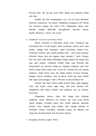 Tanaman Obat dan Usaha Kesehatan Sekolah | DOCX