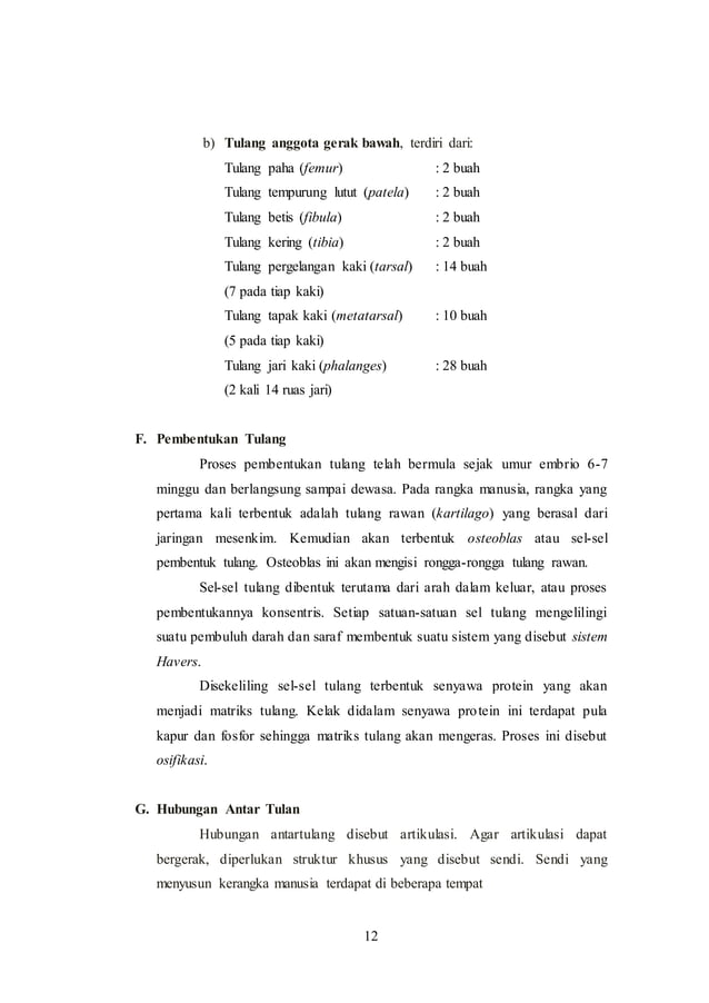 Makalah tentang anatomi muskuloskeletal | DOCX