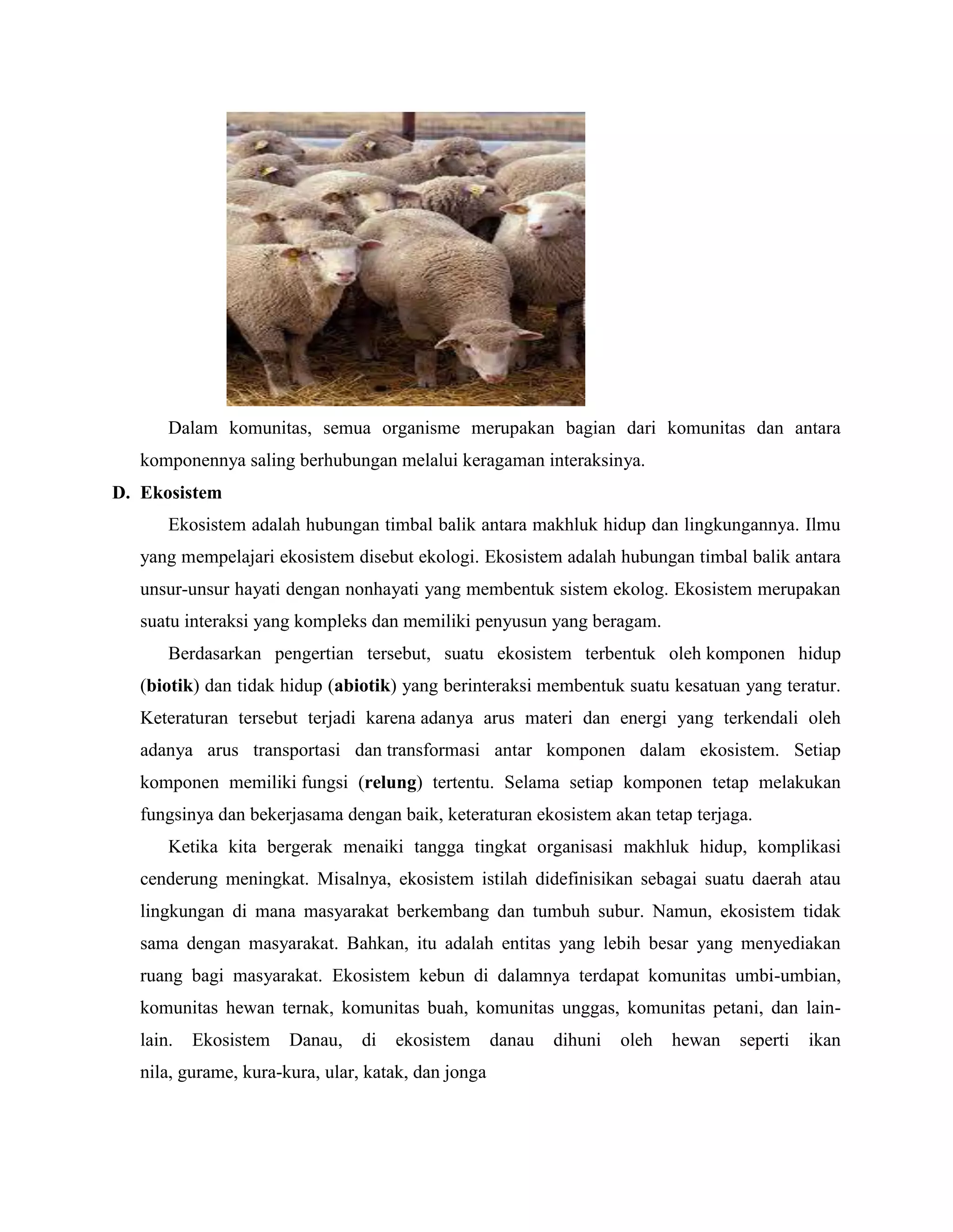 Makalah tingkat organisasi mahluk hidup yogi | DOCX