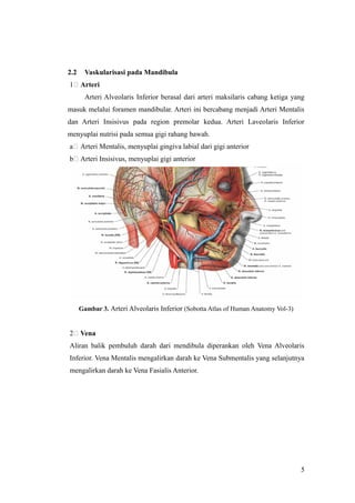 Makalah torus mandibula | RTF