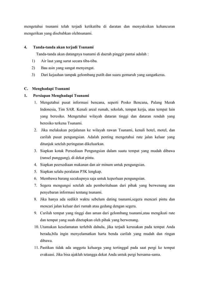 MAKALAH TSUNAMI .docx