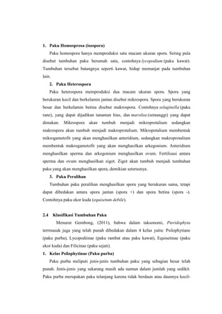 Makalah tumbuhan paku | PDF