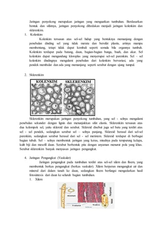 Makalh jaringan pada tumbuhan | DOCX