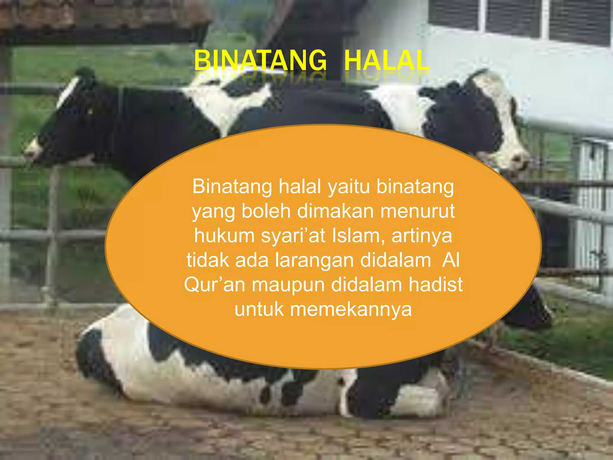 Makanan dan minuman yang halal dan yang haram | PPTX