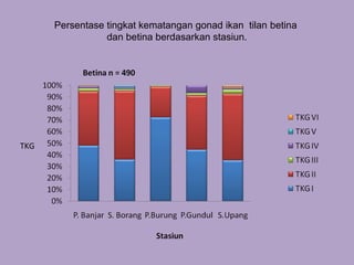 Makanan dan reproduksi ikan tilan an syarifah n | PPT