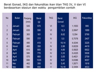 Makanan dan reproduksi ikan tilan an syarifah n | PPT