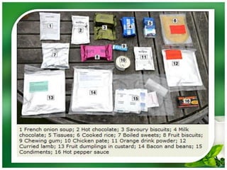 Makanan formula | PDF