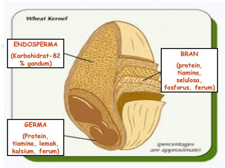 Pemilihan dan Penyimpanan Makanan Kering