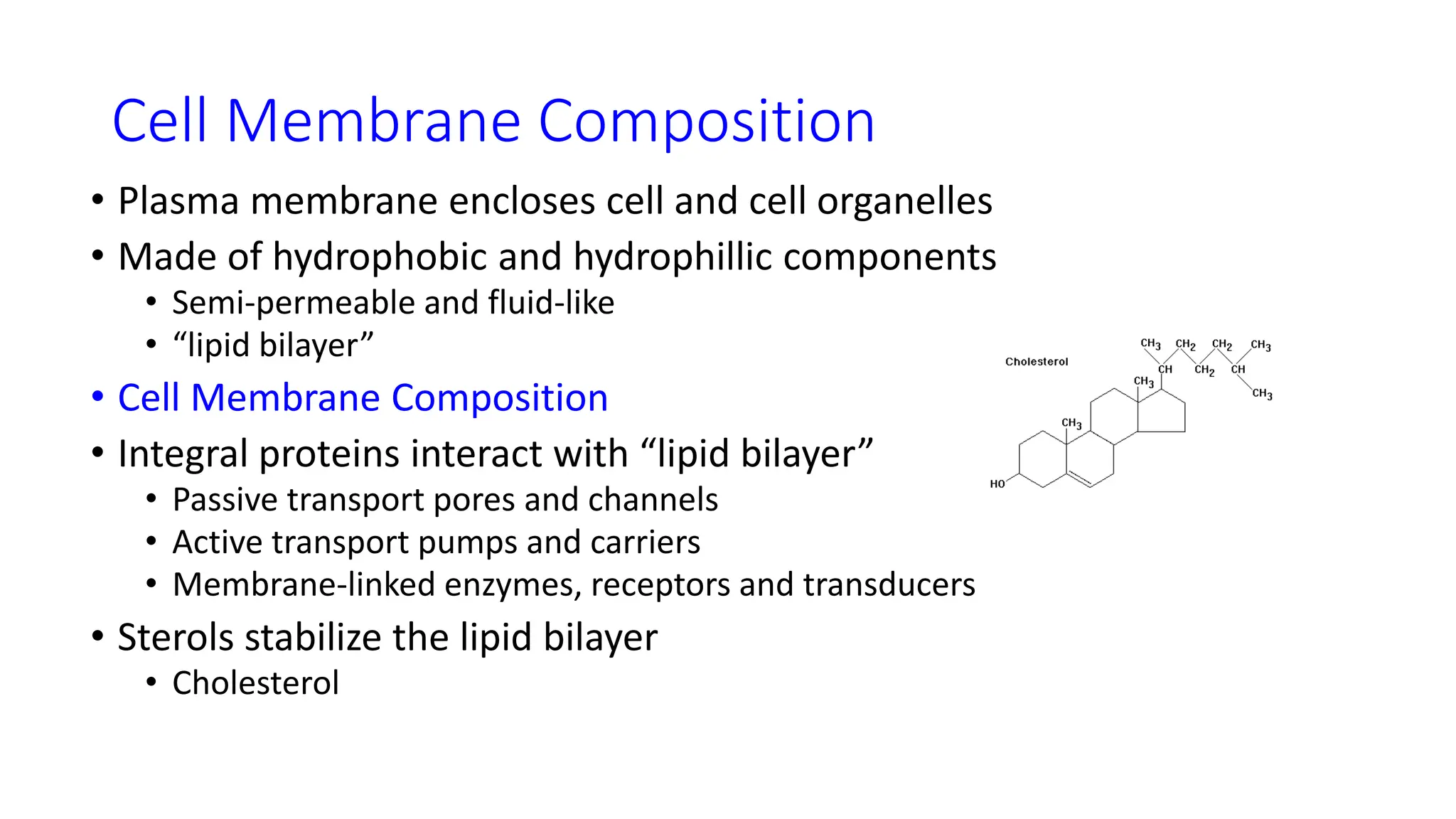 Make a presentation on basic cell biology.pptx