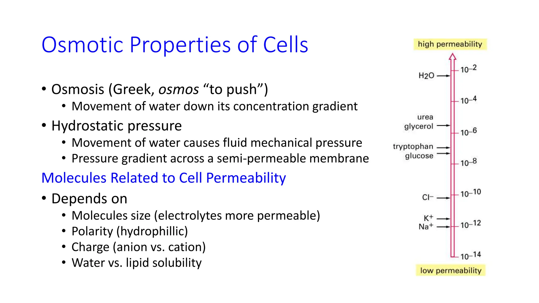 Make a presentation on basic cell biology.pptx