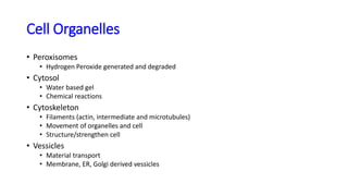 Make a presentation on basic cell biology.pptx