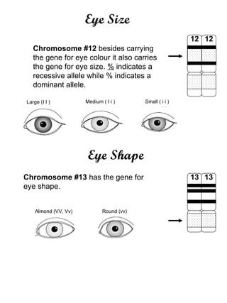 Make Face Assignment | PPT
