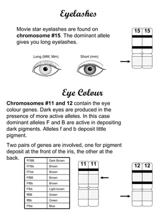 Make Face Assignment | PPT