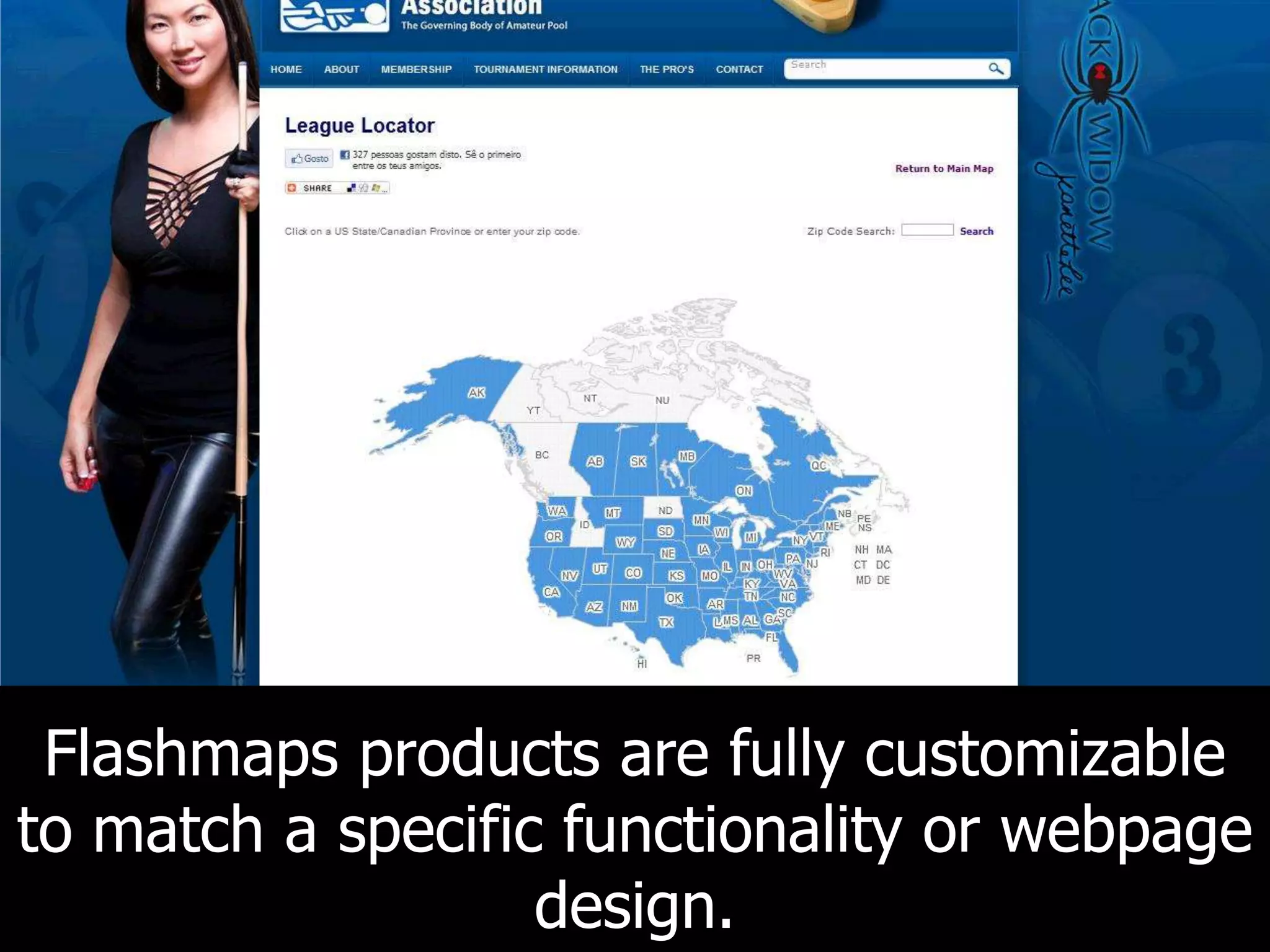 Make information more accessible with flash maps | PPTX