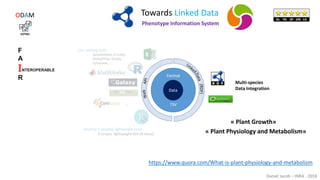 Make your data great again - Ver 2 | PPTX