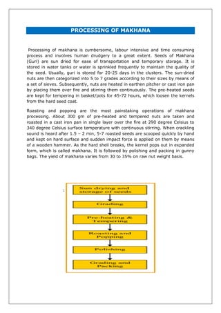 Makhana_Report.pdf