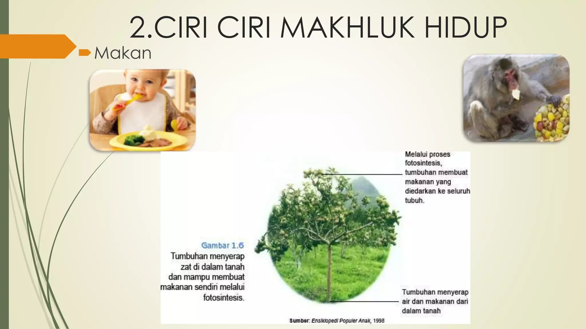 Makhluk hidup | PPTX