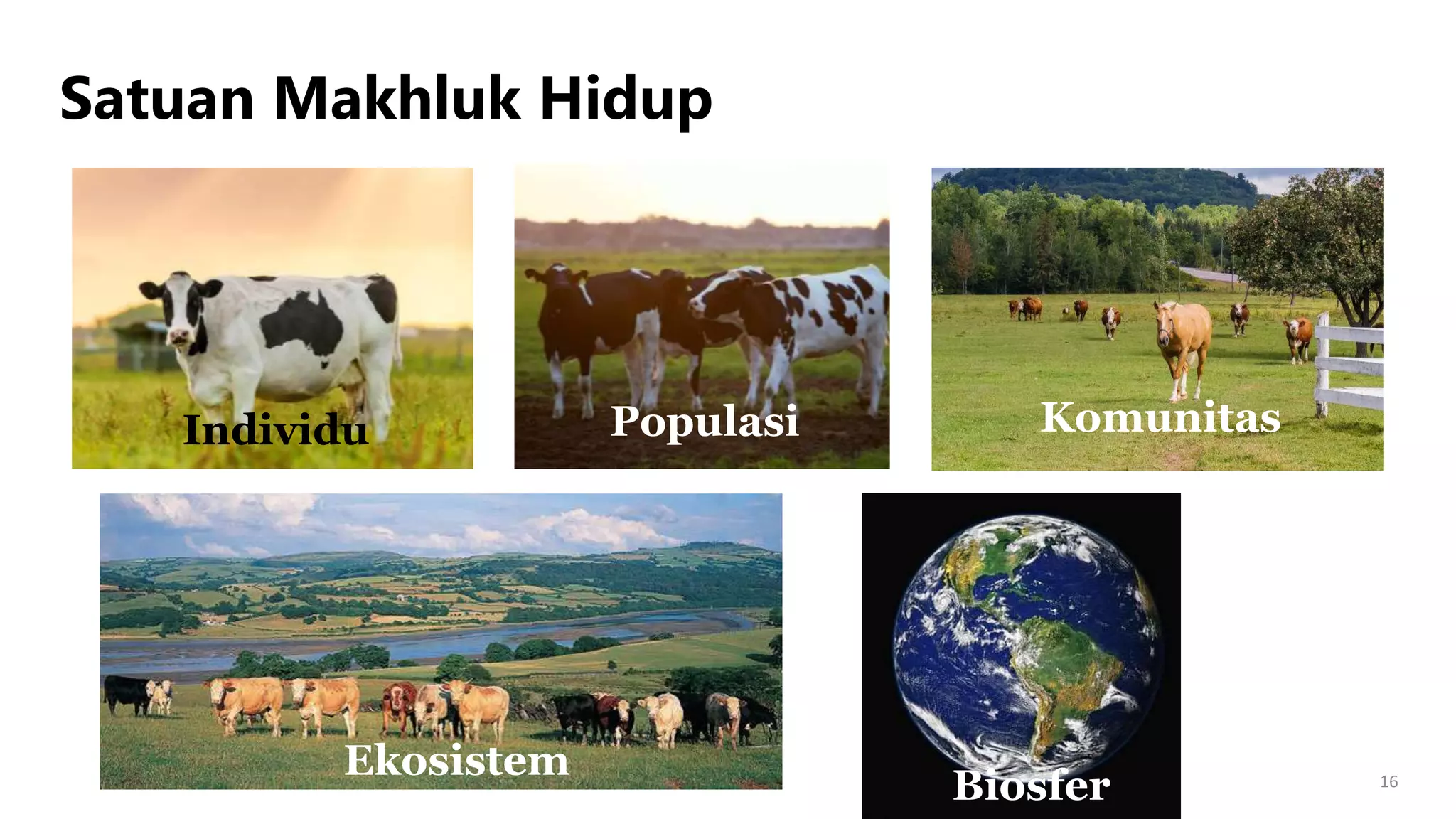 Makhluk Hidup dan Lingkungannya.pptx