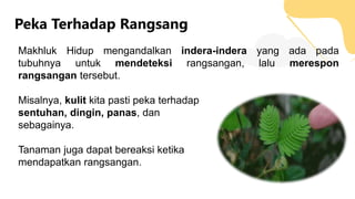 Makhluk Hidup dan Lingkungannya.pptx