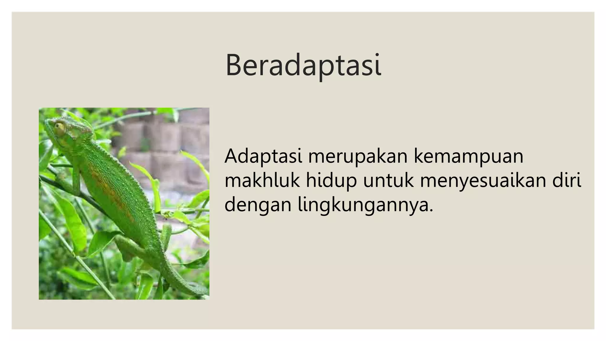 MAKHLUK HIDUP DAN LINGKUNGANNYA.pptx