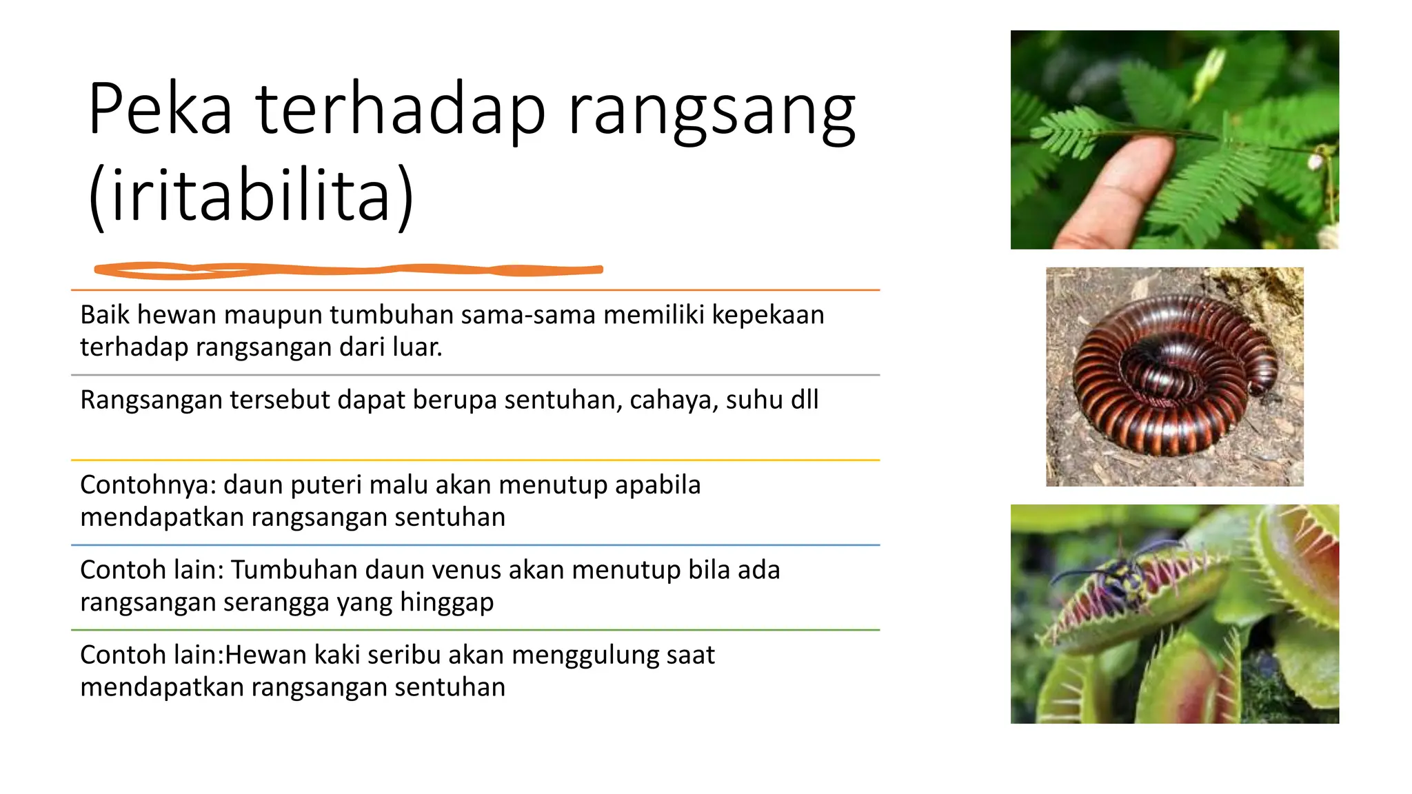 presentasi makhluk hidup dan lingkungannya | PPTX