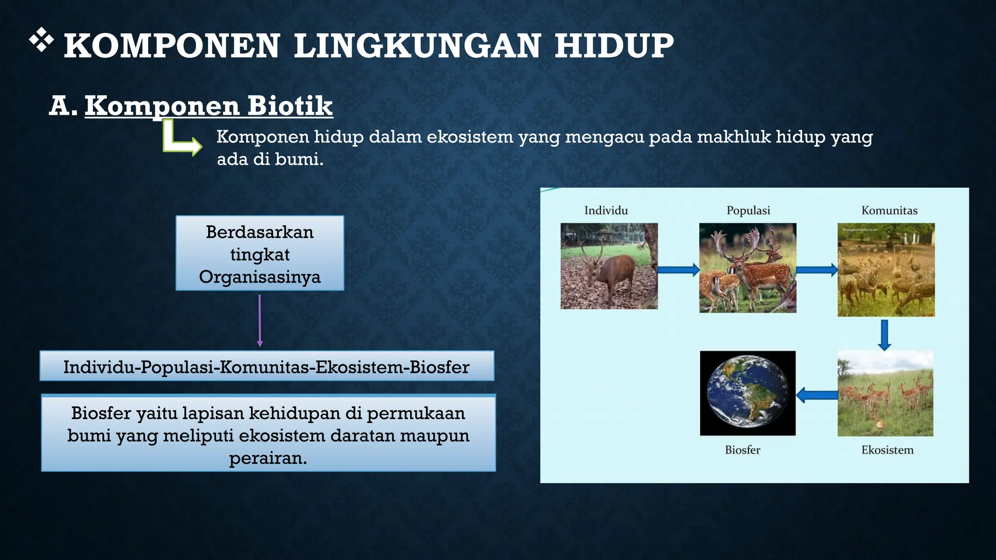 MAKHLUK HIDUP DAN LINGKUNGANNYA.pptx materi kelas X Fase E SMK | PPTX