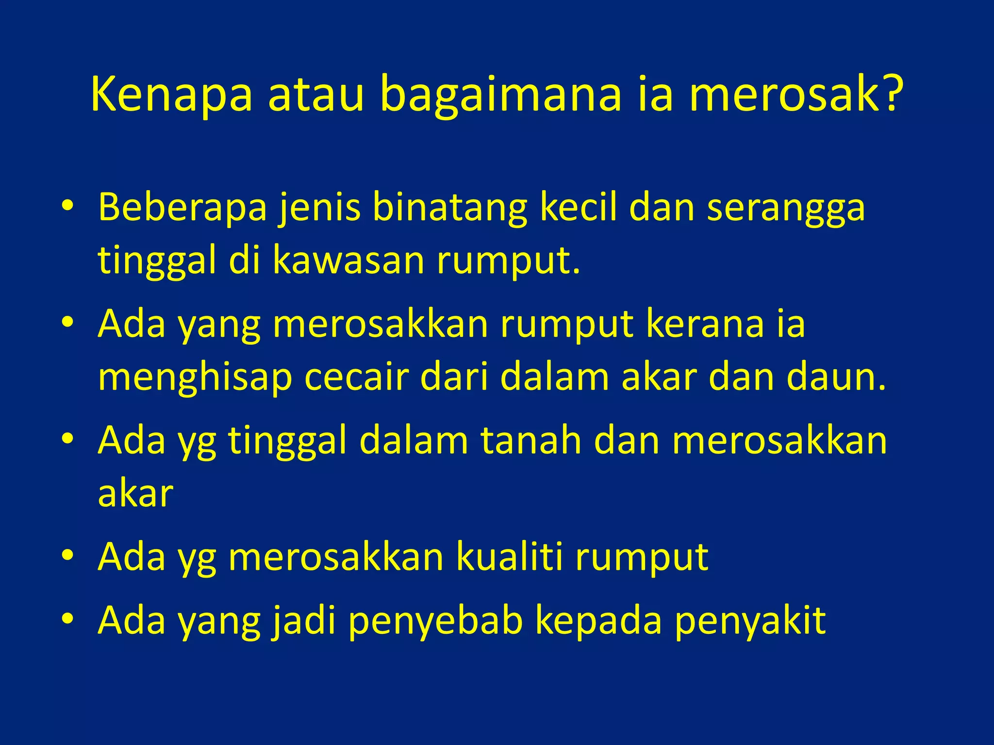 Makhluk perosak & penyakit rumput hiasan (Turfgrass pest & diseases) | PPTX